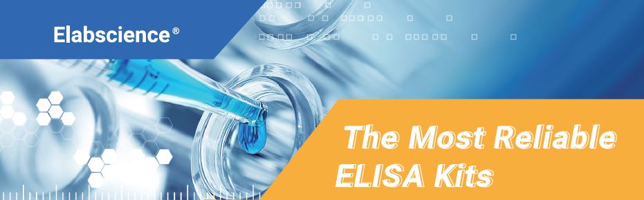 Najspoľahlivejšie súpravy ELISA od Elabscience | MOLCHEM®